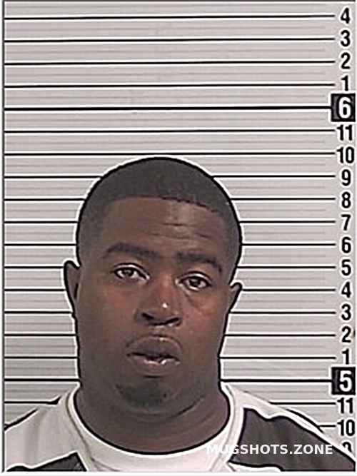 PROFIT DONALD RAY 08/25/2024 - Bay County Mugshots Zone