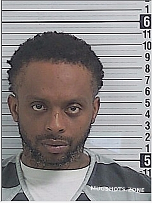 MATHIS MARRUS 08/29/2024 - Bay County Mugshots Zone