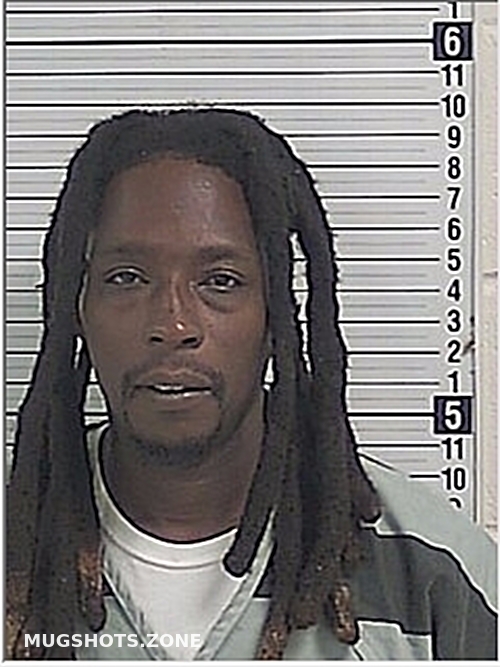 MITCHELL DAVID GENE JR 08/30/2024 - Bay County Mugshots Zone