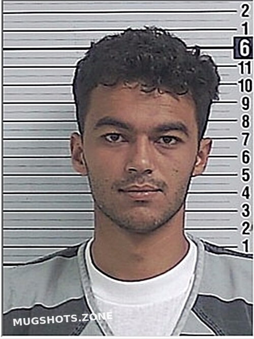 HAMADA YOUSSEF AYMAN MOHAMED 10/09/2024 - Bay County Mugshots Zone