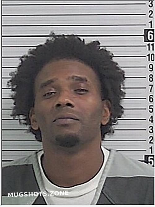 BECKFORD CARECA MARIO-DELANO 10/11/2024 - Bay County Mugshots Zone