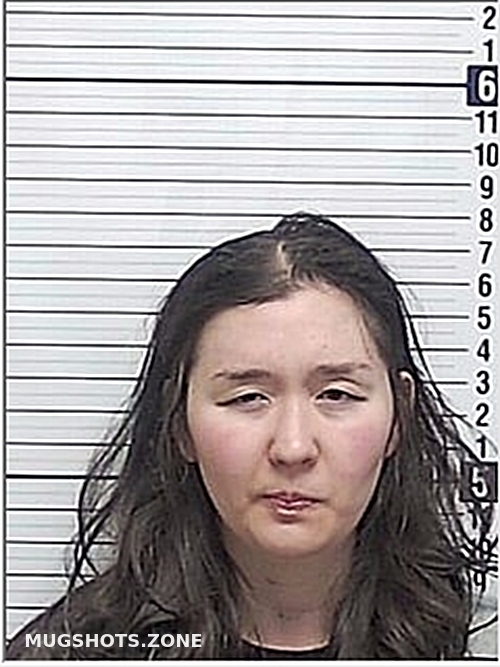MORGAN ERIKA CHOI 10/12/2024 - Bay County Mugshots Zone
