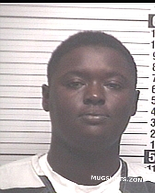 SMILEY ROCHELLE LARHONDA 10/14/2024 - Bay County Mugshots Zone