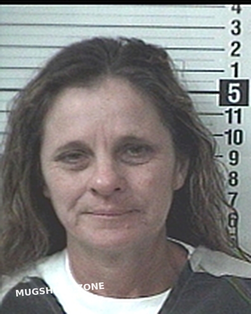 LEWIS PEGGY SUE 10/20/2024 - Bay County Mugshots Zone