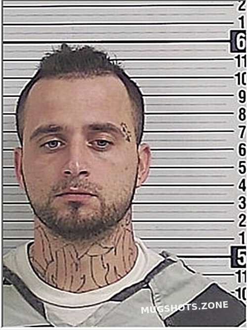 COOK SHAWN TYLER 10/21/2024 - Bay County Mugshots Zone