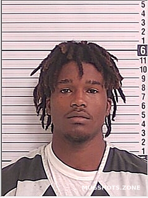 JOHNSON DARIUS KAVON 10/22/2024 - Bay County Mugshots Zone