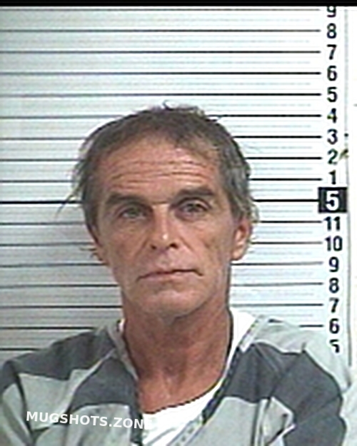 THOMPSON TONY DWAYNE 10/23/2024 - Bay County Mugshots Zone