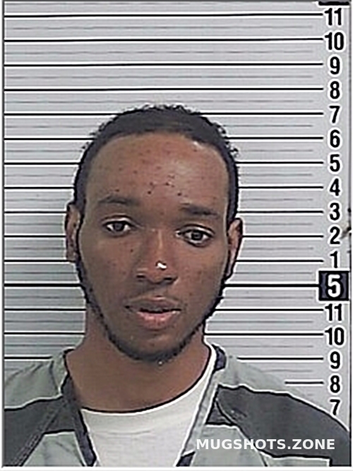 WILLIAMS BRIAN ANTHONY 11/01/2024 - Bay County Mugshots Zone