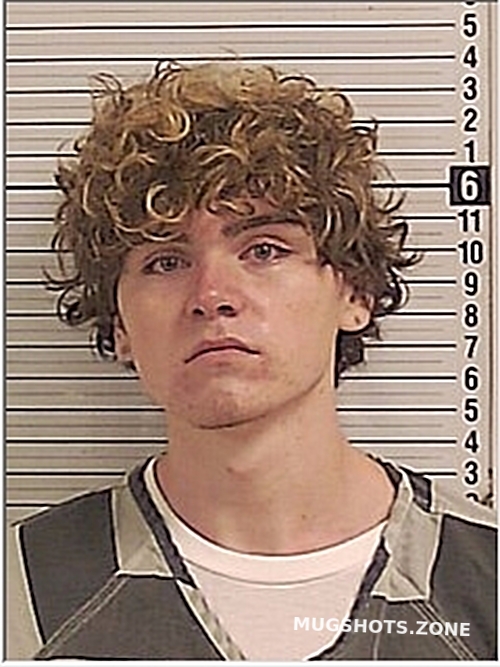 BERGENSTOCK-BOND CONNOR JAMES 11/07/2024 - Bay County Mugshots Zone