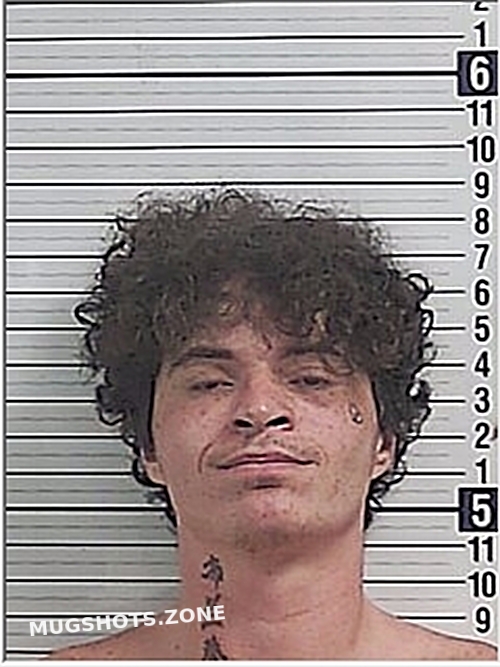 YEOMANS BRANDON ALLEN 11/08/2024 - Bay County Mugshots Zone