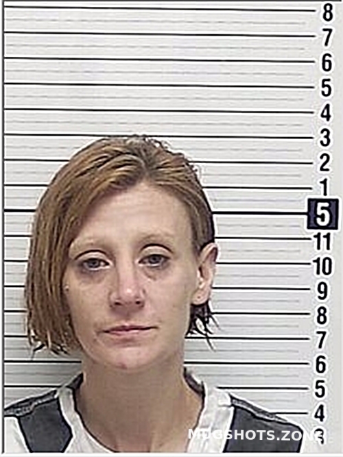 REMILLARD LAURA ANN 11/08/2024 - Bay County Mugshots Zone