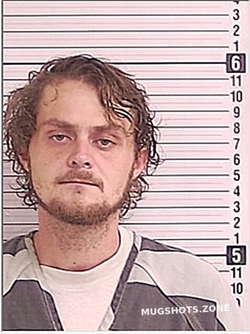 WELLS TYLER KEITH 11/08/2024 - Bay County Mugshots Zone