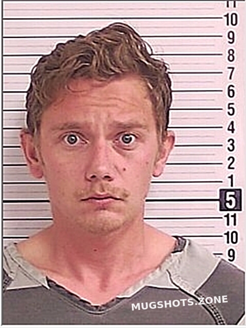 HARROD JOSHUA TYLER 11/10/2024 - Bay County Mugshots Zone