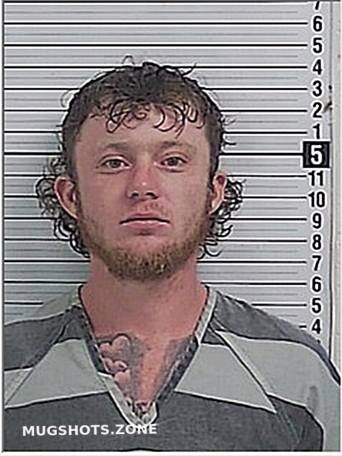 THOMPSON MATTHEW COLE 11/10/2024 - Bay County Mugshots Zone