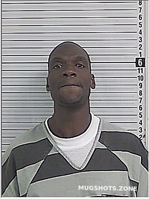 JOHNSON ALPHONSO JARIEL 11/11/2024 - Bay County Mugshots Zone