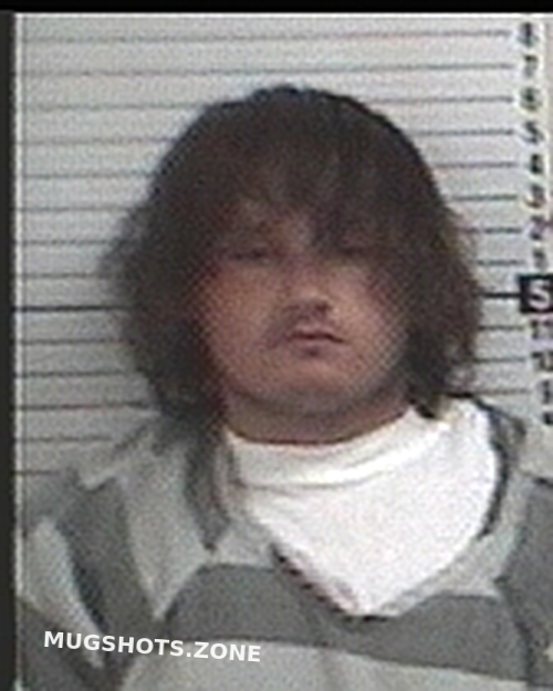 BLANE BRIAN DAMON 11/12/2024 - Bay County Mugshots Zone