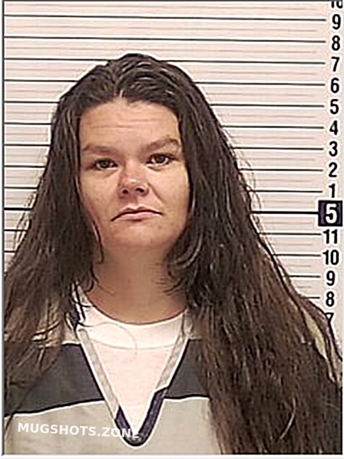 BOZEMAN SHELBY LYNN 11/13/2024 - Bay County Mugshots Zone