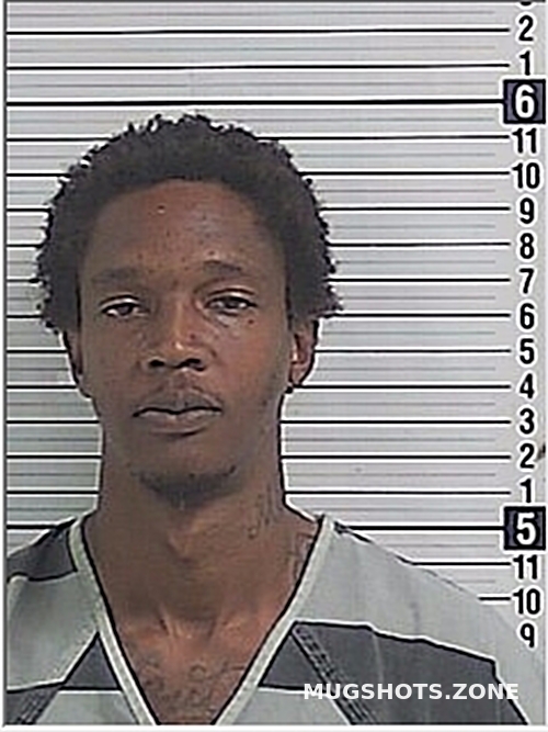 WILLIAMS FREDERICK EUGENE JR 11/14/2024 - Bay County Mugshots Zone