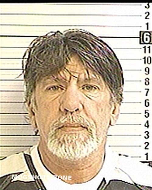 WOODY TIMOTHY ALLEN 11/15/2024 - Bay County Mugshots Zone