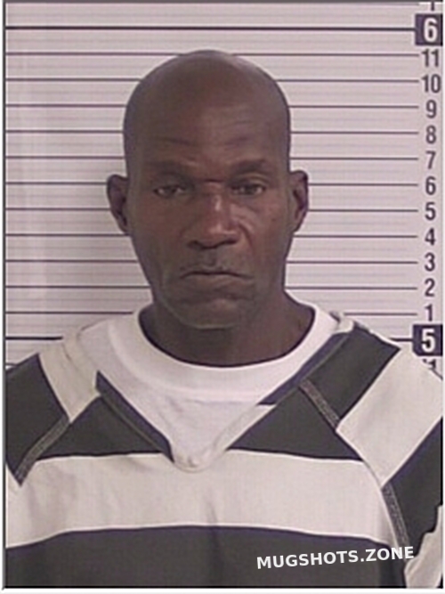 THOMPSON TERRY RAY 11/15/2024 - Bay County Mugshots Zone