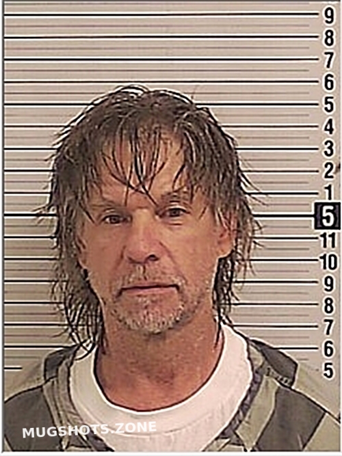 BERECZ PETER TONY 11/17/2024 - Bay County Mugshots Zone