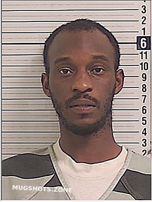 BLAIR DERRELL LAMONTAE 11/18/2024 - Bay County Mugshots Zone