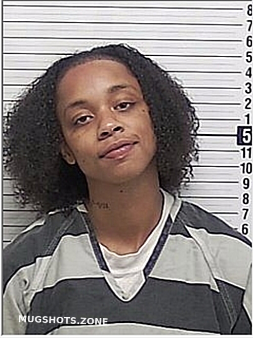 WILLIAMS ANYSSA NICOLE 11/19/2024 - Bay County Mugshots Zone