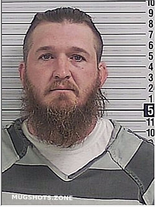 SANDERLIN NICHOLAS RYAN 11/20/2024 - Bay County Mugshots Zone