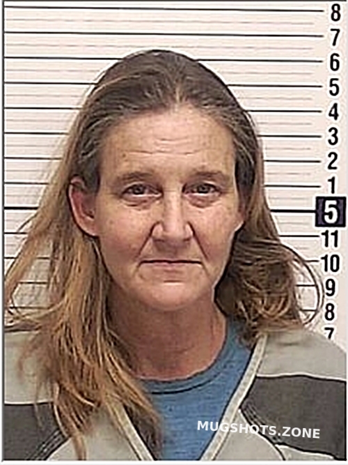 ASHWORTH MEREDITH STEPHENS 11/21/2024 - Bay County Mugshots Zone