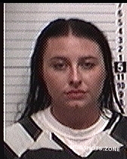 BURNS BRIDGITTE NICHOLE 11/22/2024 - Bay County Mugshots Zone