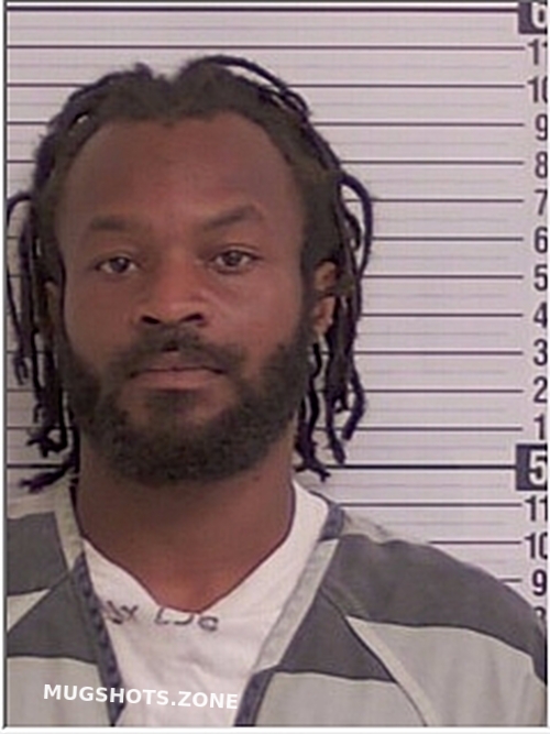 WILSON DWIGHT JR 11/23/2024 - Bay County Mugshots Zone