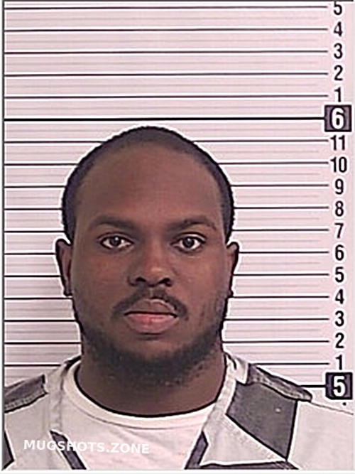 DALEY JORDAN SHAMAR 11/26/2024 - Bay County Mugshots Zone