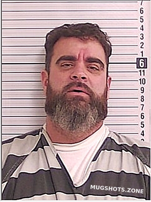 HAYES MICHAEL JASON 11/26/2024 - Bay County Mugshots Zone