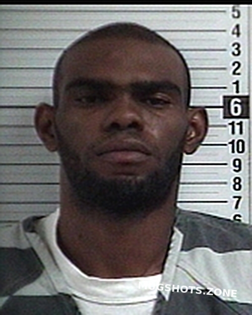 DALEY KURT CEDRIC 11/27/2024 - Bay County Mugshots Zone