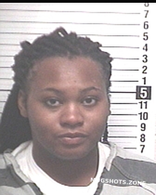 CAPPS VANESSA LYNN 11/29/2024 - Bay County Mugshots Zone