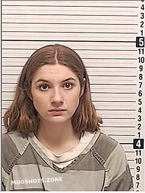 ROBINSON CAMERON LEA-ANNE 11/29/2024 - Bay County Mugshots Zone