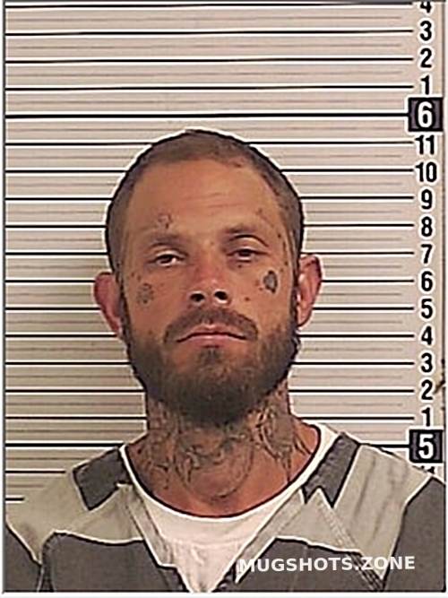 WHITE GERALD CARL 12/01/2024 - Bay County Mugshots Zone