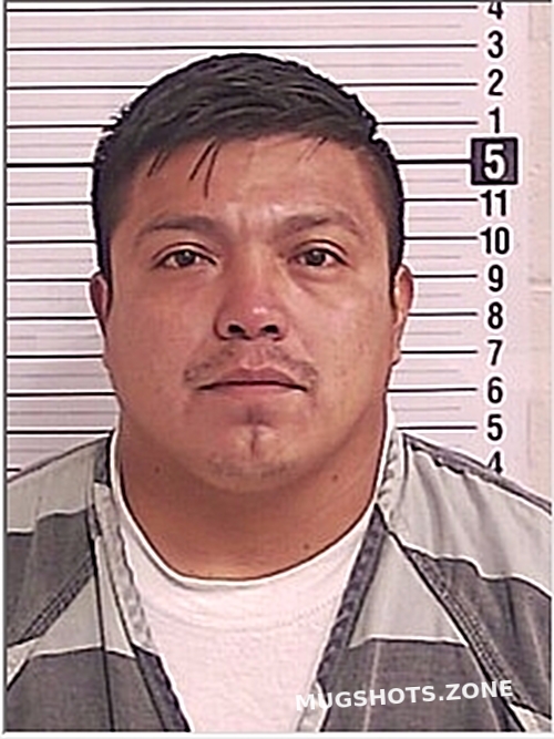 ALVEREZ EDGAR TREJO 12/06/2024 - Bay County Mugshots Zone