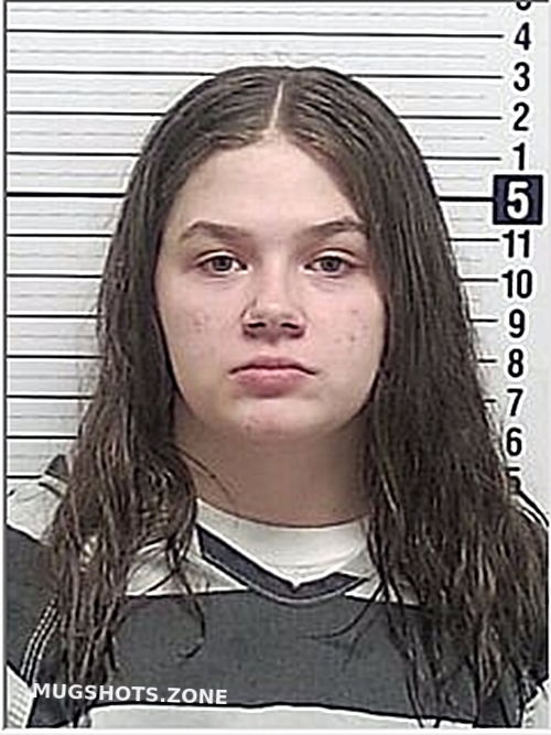 HEATH RANDI JAXI MAE 12/17/2024 - Bay County Mugshots Zone