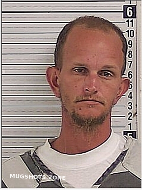 PARNELL DERRICK SHAWN 12/20/2024 - Bay County Mugshots Zone