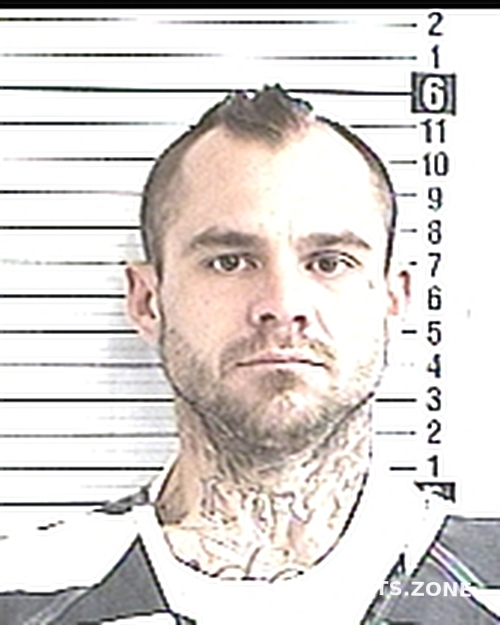 REED SHANE ALLEN 12/21/2024 - Bay County Mugshots Zone