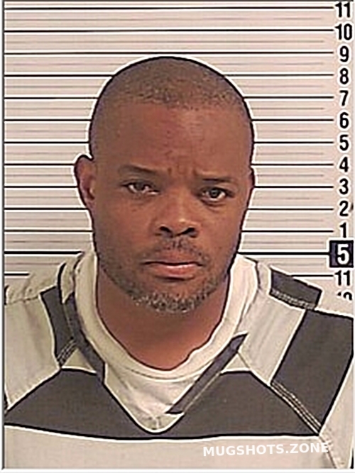 JOHNSON ADRID DEVON III 12/22/2024 - Bay County Mugshots Zone