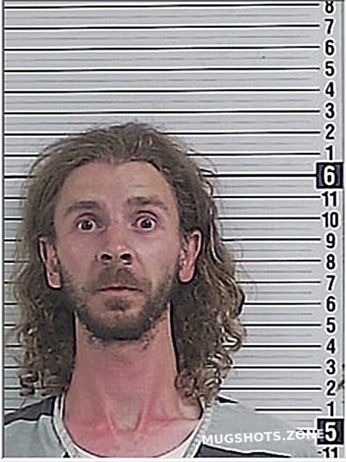ZALLUM ISAAC GHASSAN 12/25/2024 - Bay County Mugshots Zone