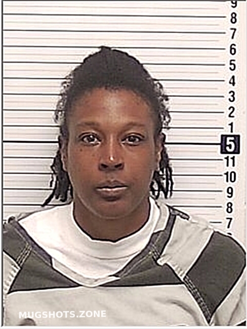 MERRITT BRANDI RENEE 12/26/2024 - Bay County Mugshots Zone