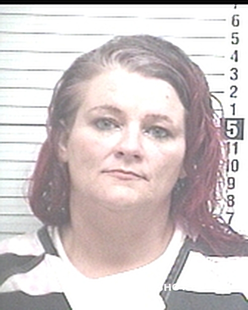 HARBIN WENDY LYNN 12/27/2024 - Bay County Mugshots Zone