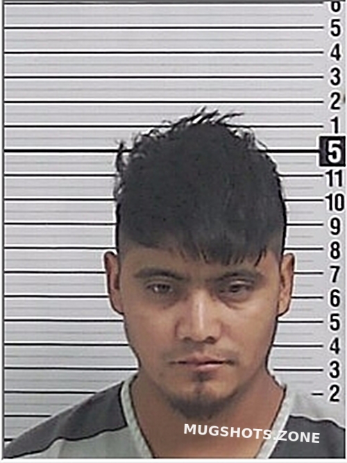 MORAN-CHOMO FABIO LEONEL 12/31/2024 - Bay County Mugshots Zone