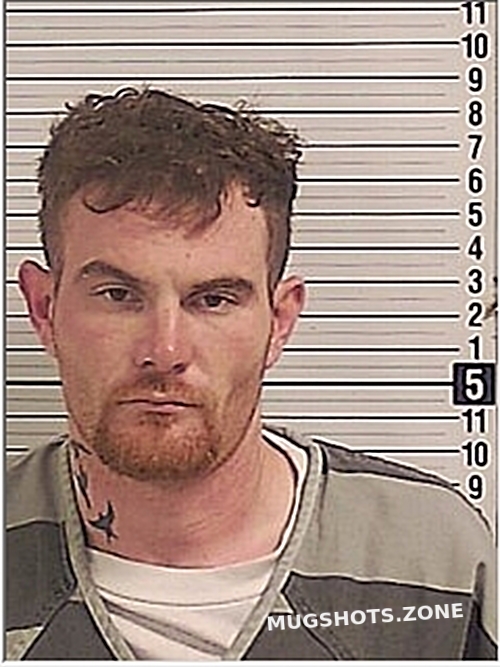 BLAIR TAYLOR LOGAN 01/01/2025 - Bay County Mugshots Zone