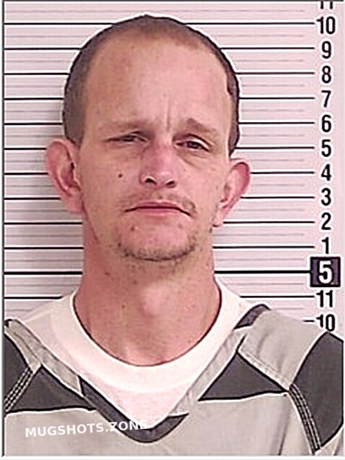 PARNELL DERRICK SHAWN 01/04/2025 - Bay County Mugshots Zone