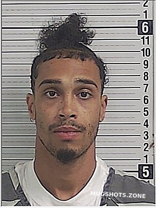 LYONS STEVEN ANDREW 01/05/2025 - Bay County Mugshots Zone