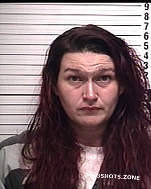 AUDETTE ASHLEY DANIELLE 01/12/2025 - Bay County Mugshots Zone